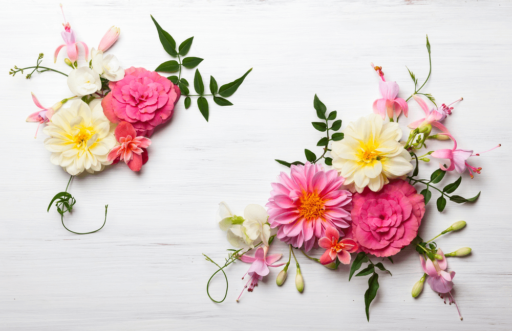 Why Choose Real Flowers